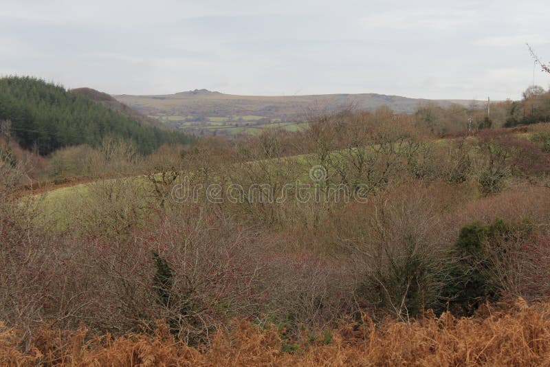 View of Dartmoor from Yelverton in Devon Stock Image - Image of devon ...