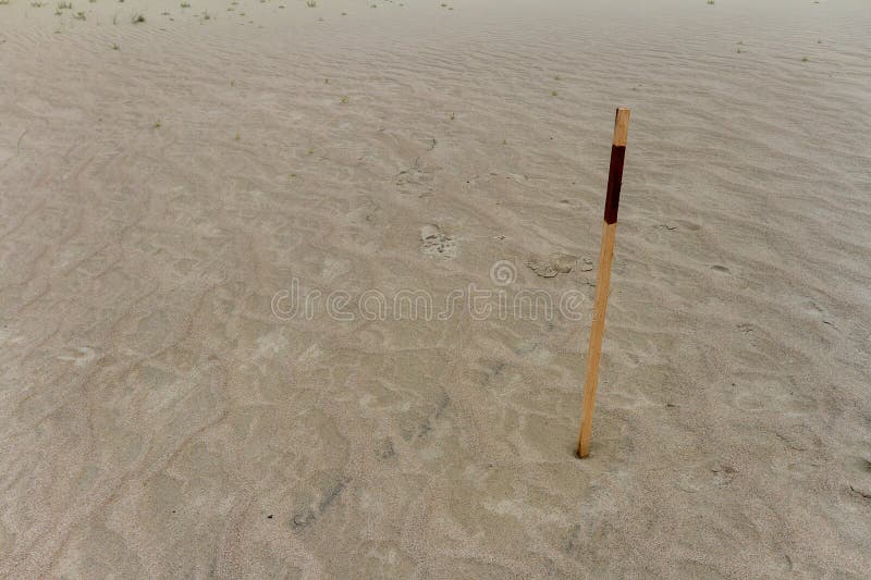 View of Dead Dunes stock image. Image of landscape, stick - 302649993