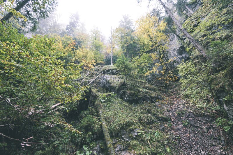 View from Deep Cave To the Sky through Trees - Vintage Retro Eff Stock ...