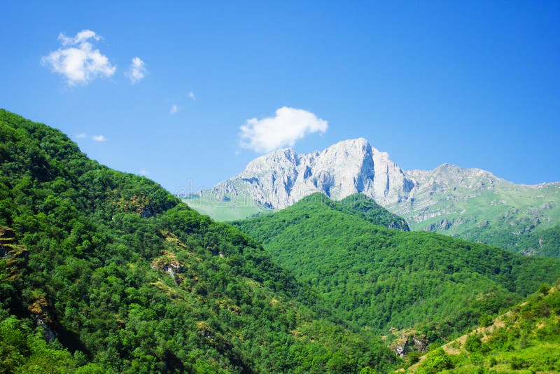 View of Dense Forest and Mountain. Mount Khustup Stock Image - Image of ...