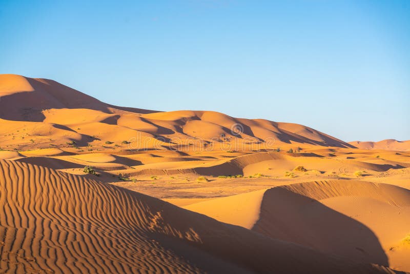 A View of Desert Dunes in the Sahara Desert, Morocco Stock Photo ...