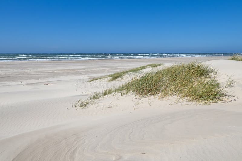 View of a Deserted North Sea Beach in Denmark in Summer Stock Image ...