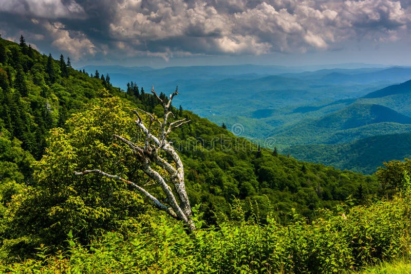 View from Devils Courthouse Overlook, on the Blue Ridge Parkway Stock ...