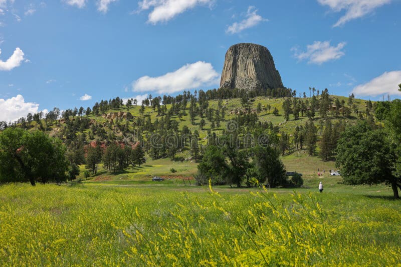 The View of Devils Tower from the Flowering Prairie on the Foot, Devils ...
