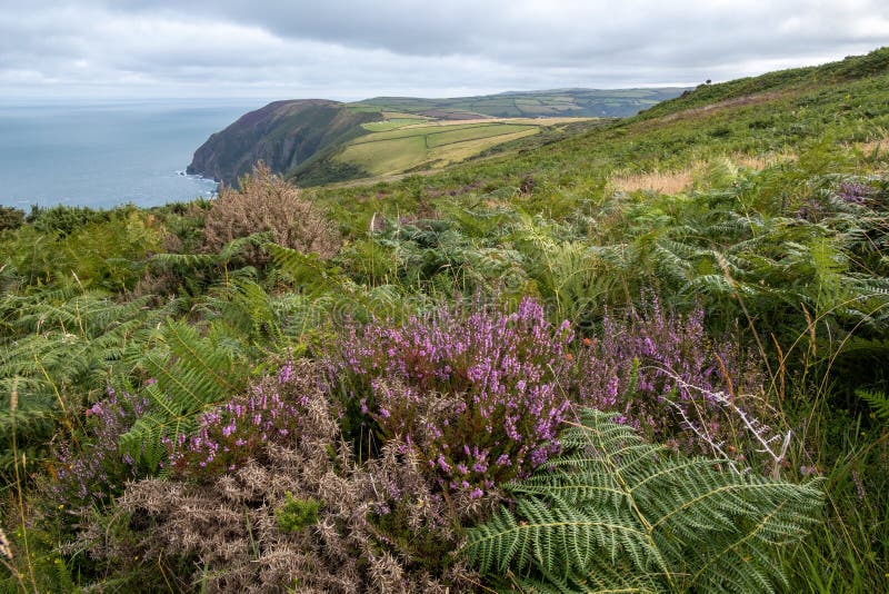 View of the Devon Coastline Near Combe Martin Stock Image - Image of ...