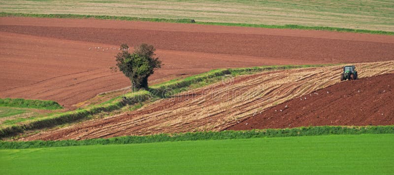 View of Devon Fields at the End of Summer Stock Image - Image of earth ...