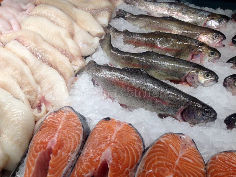 Seafood display case stock image. Image of store, seafood - 115974473