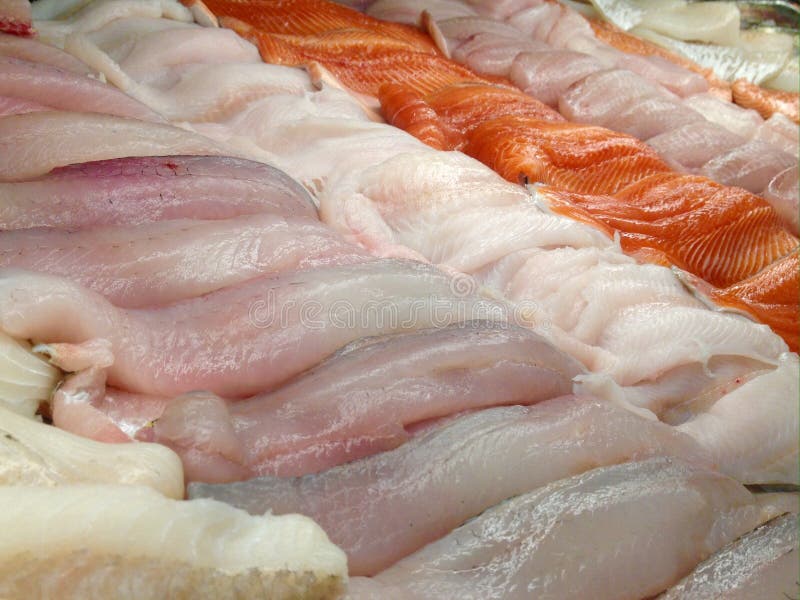 Seafood display case stock image. Image of fish, farm - 116502337