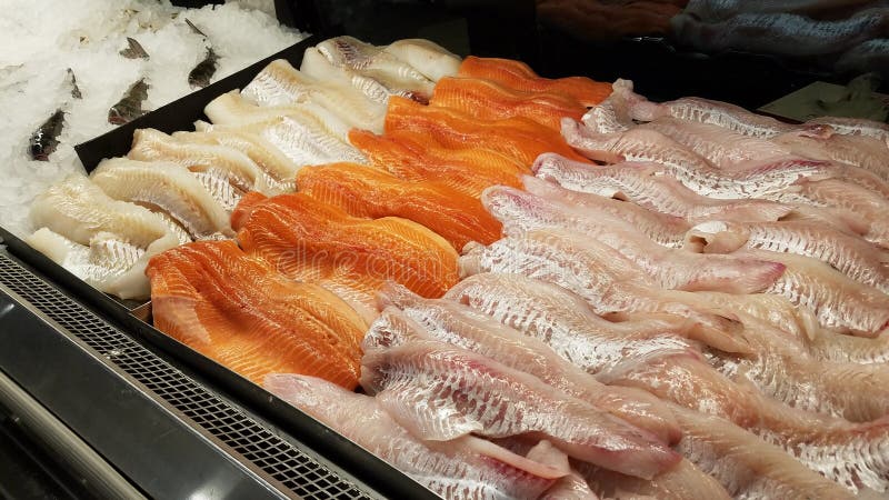 Seafood display case stock image. Image of fillets, healthy - 169801837