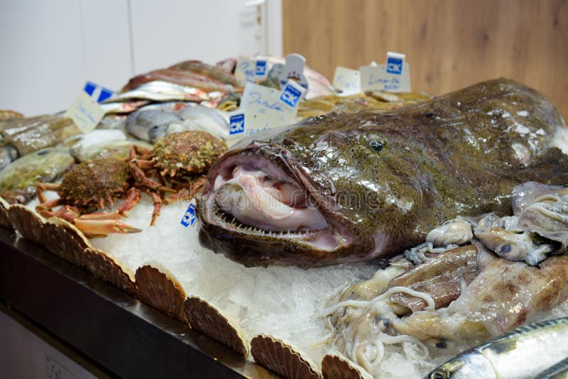 View of a Display of Fish and Shellfish Stock Image - Image of salers ...