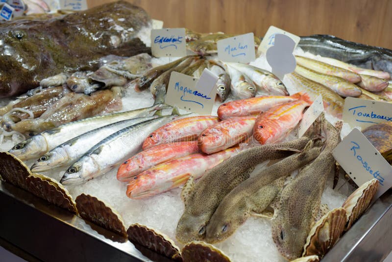 View of a Display of Fish and Shellfish Stock Image - Image of ...