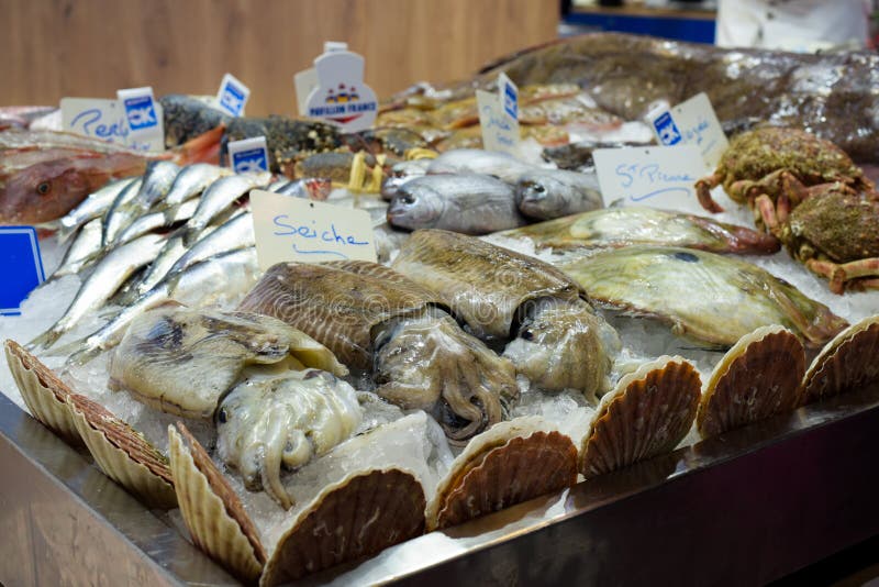 View of a Display of Fish and Shellfish Stock Photo - Image of trader ...