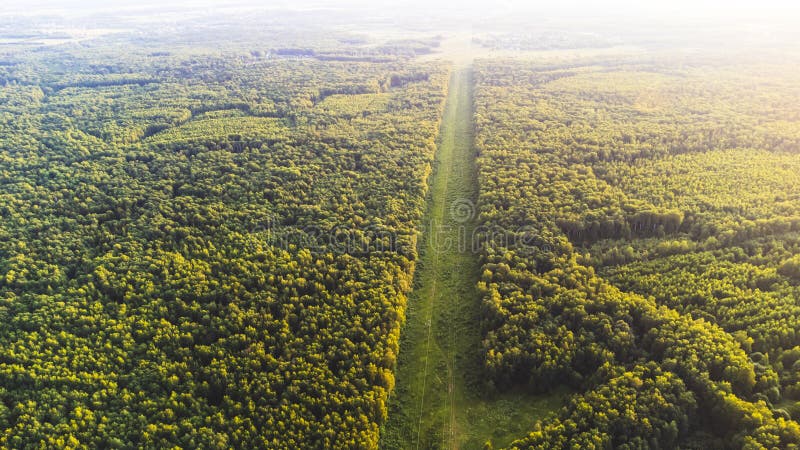 View into the Distance from the Height of the Forest Stock Photo ...