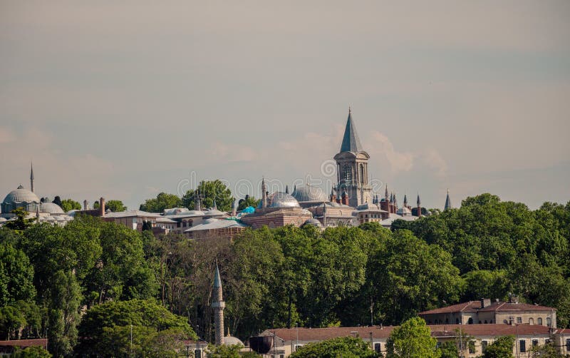 View of Domes and Tower of a Mosque Partially Hidden Behind Trees Stock ...