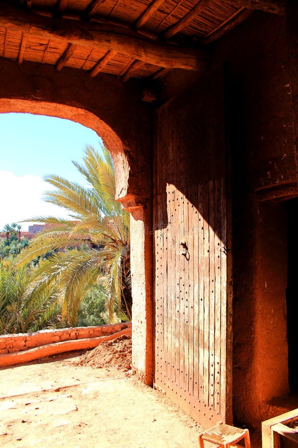Old Art Palm Trees Overlooking Ocean Stock Photos - Free & Royalty-Free ...