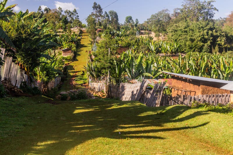 View of Dorze Village, Ethiop Stock Image - Image of culture, tribe ...
