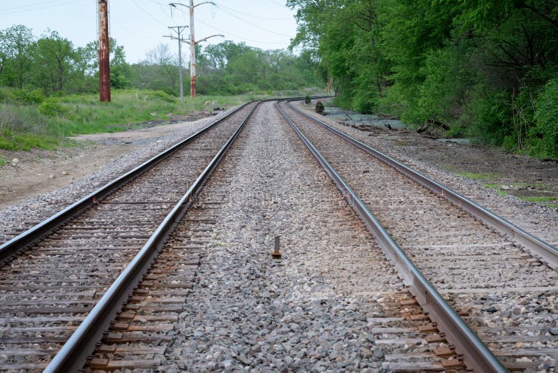 View of a Double Steel Railroad Tracks with Trees on the Side of the ...