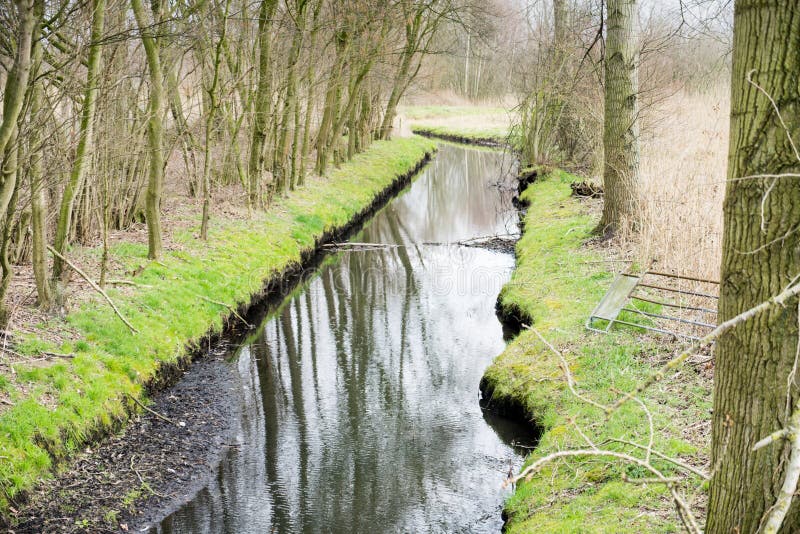 View Down a Brook with Grassland and Bare Trees that Reflect in the ...