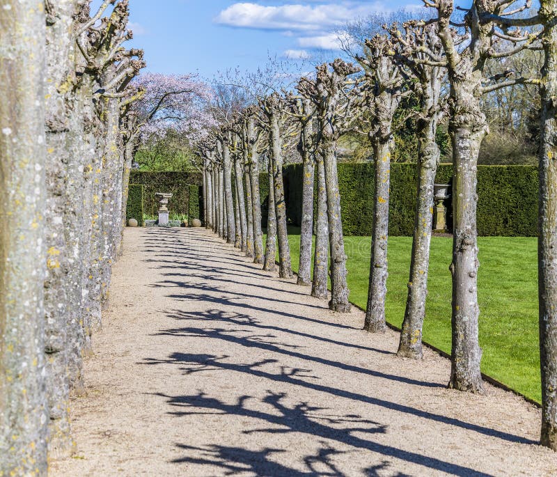 A View Down a Denuded Tree Walkway beside the River Arrow Near Alcester ...