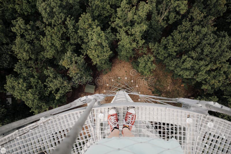 View Down the Forest from the Lookout Tower Stock Photo - Image of ...