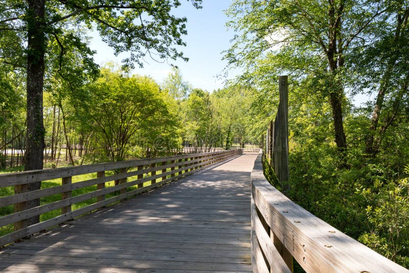 Boardwalk with Railings Along Lake in Wisconsin Stock Image - Image of ...