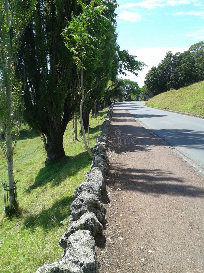 Borderline Left Ventricle Stock Photos - Free & Royalty-Free Stock ...