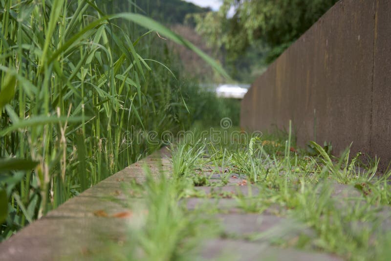 View Down an Riverside Sitting Wall with a Lot of Green, Close-up Shot ...