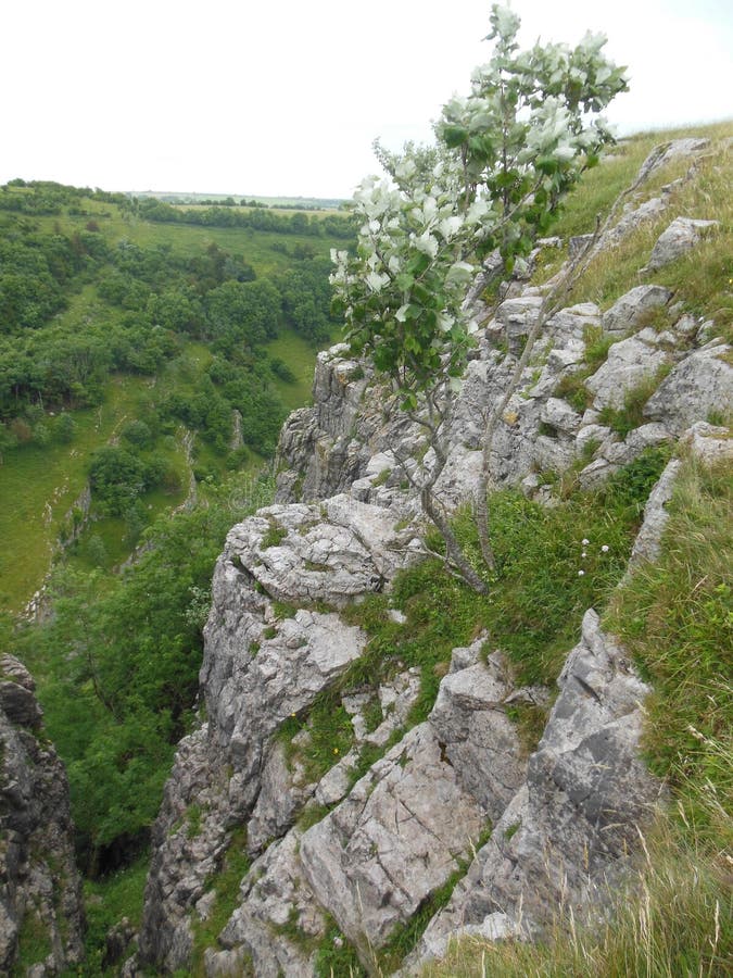 Cliff side portrait stock image. Image of portrait, side - 99254021