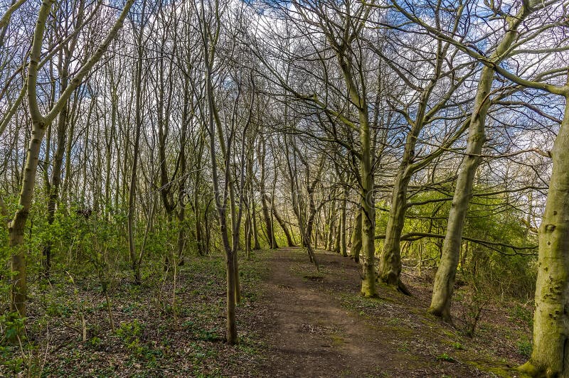 Thrapston, Northamptonshire, England Landscape Stock Photo - Image of ...