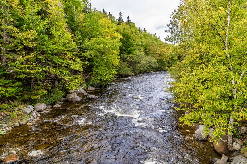 A View Down the Upper Reaches of the Corner Brook Stream at Corner ...