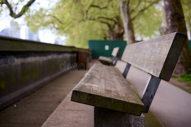 View Down a Wooden Bench in a Park Stock Image - Image of lonely ...
