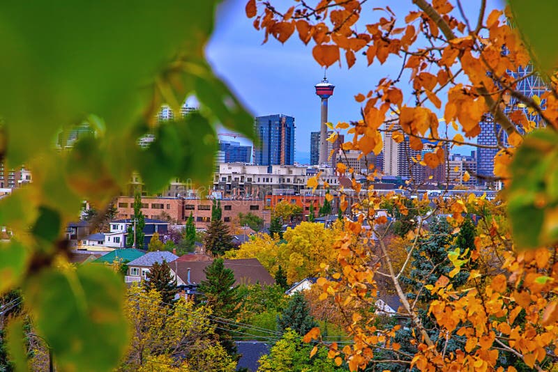 Downtown Calgary Skyline Framed by Fall Foliage Stock Photo - Image of ...