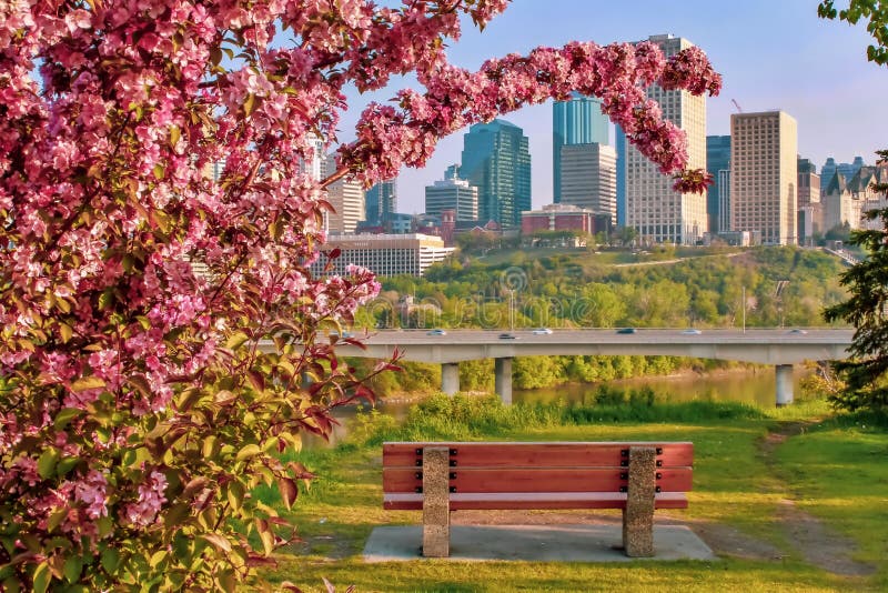 Springtime Flowers and Downtown Stock Image - Image of buildings ...