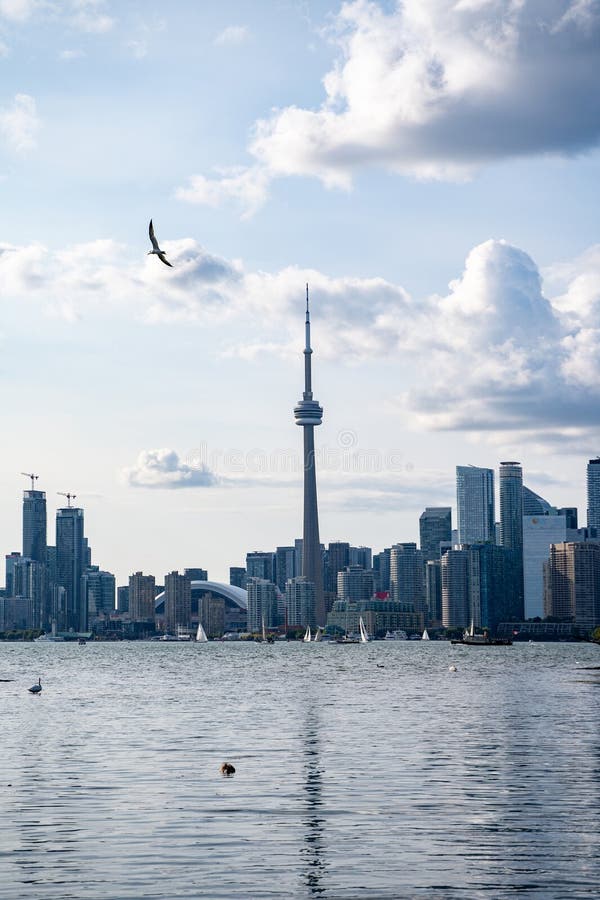 View of Downtown Toronto from the Toronto Islands. Editorial Photo ...