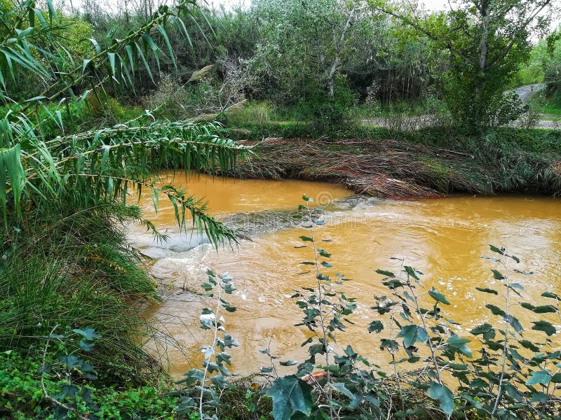 Dry river stock image. Image of view, flood, rains, river - 130188657
