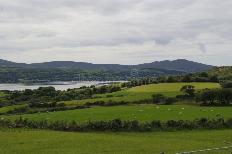 View Durrus Stock Photos - Free & Royalty-Free Stock Photos from Dreamstime