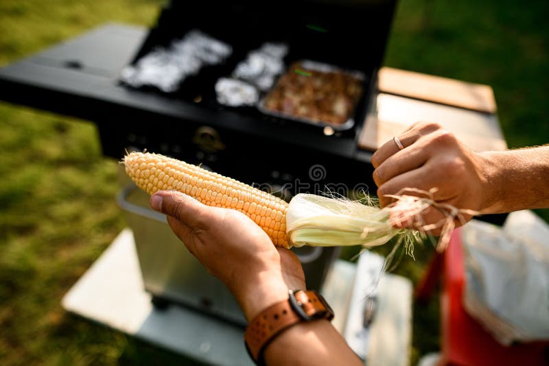 View on Ear of Corn Which the Hands of Man Clean from the Leaves Stock ...
