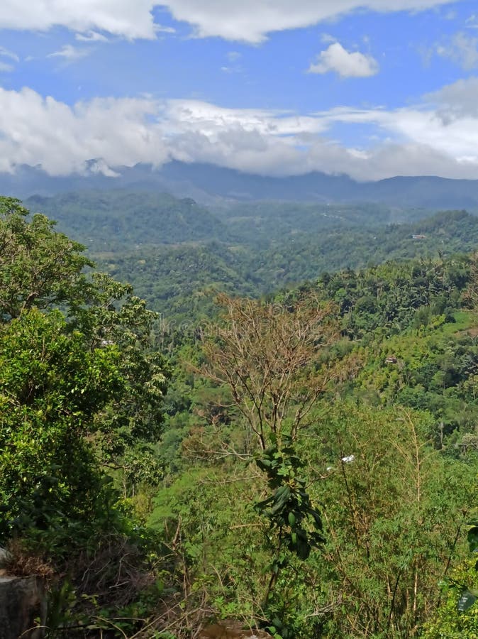 View on the Edge of the Mountain with Panoramic Views of Nature Stock ...