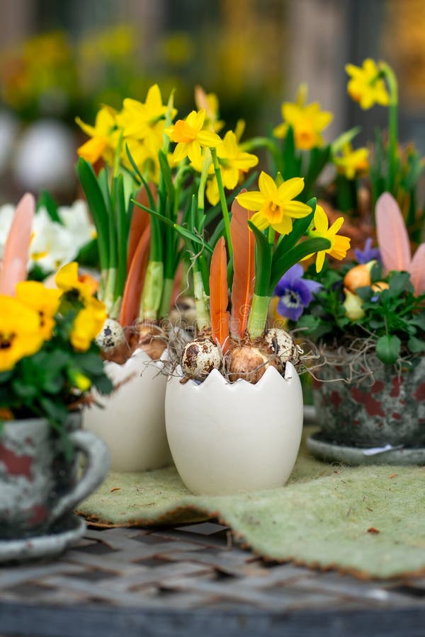 View of an Eggshell-shaped Flower Pot with Yellow Daffodil Flowers ...