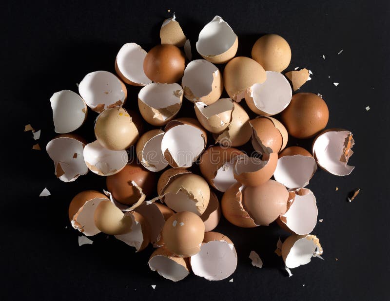 View of eggshells stock image. Image of food, cooking - 235812437