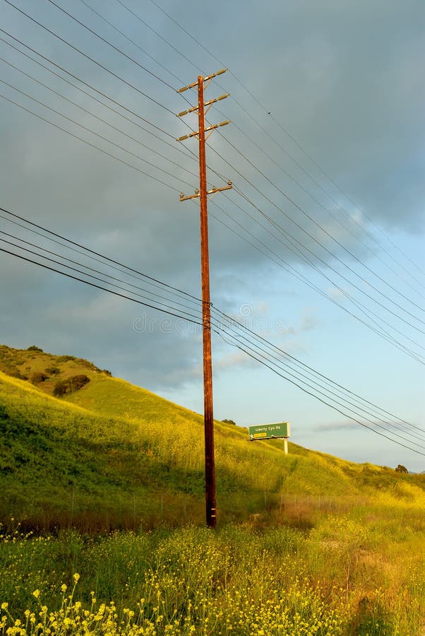 View of Electrical Utility Pole and Power Lines Surrounded by Wild ...