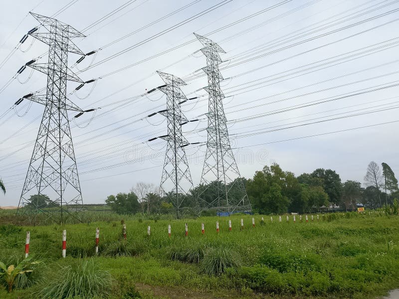 View of electricity pole stock photo. Image of branch - 352132776