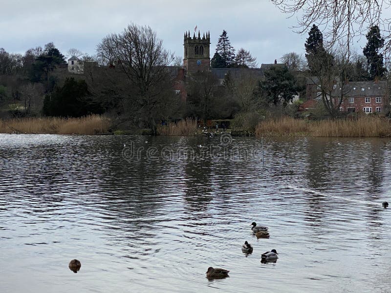 Ellesmere Lake and Lone Park Bench, Shropshire, England Stock Image ...