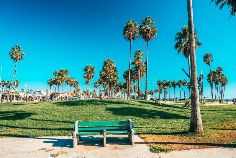 View of an Empty Bench with Palm Trees in the Park Stock Image - Image ...