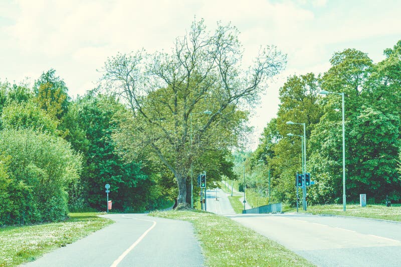 View of Empty British Road in Rural Suffolk Stock Image - Image of ...