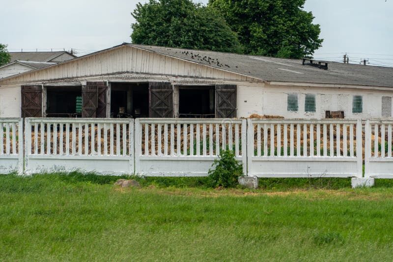 A View of an Empty Cowshed Stands in a Field. Unprofitable Agriculture ...