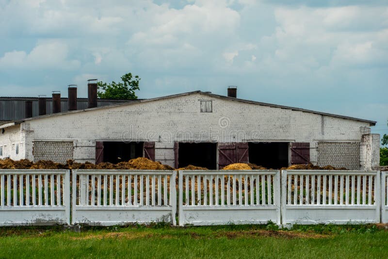 A View of an Empty Cowshed Stands in a Field. Unprofitable Agriculture ...