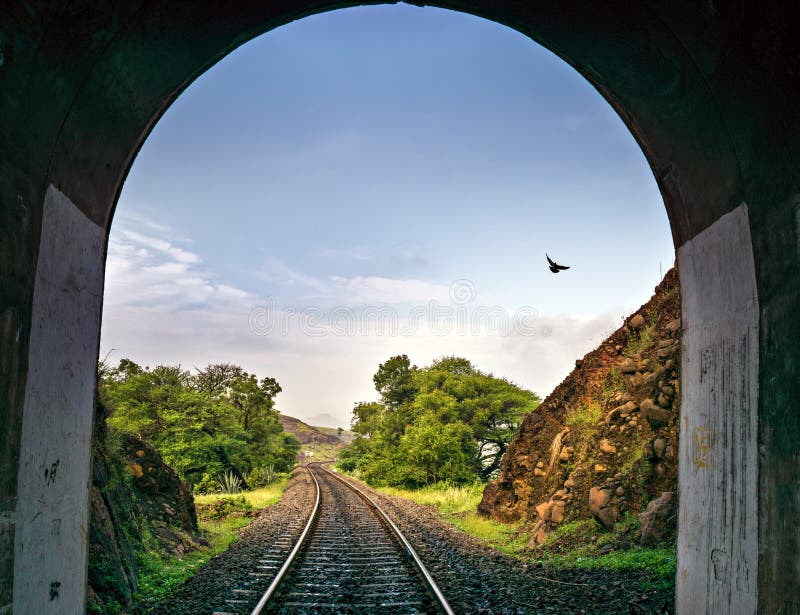 Image of a Bird through a Arched Railway Tunnel with Track. Stock Image ...