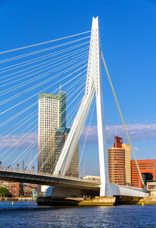 View of Erasmus Bridge in Rotterdam Editorial Photography - Image of ...