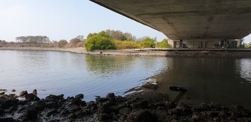View of the Estuary Under the Bridge at Low Tide. Bring Coolness and ...